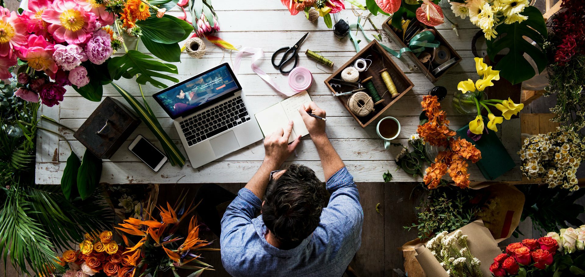 WordPress Webhosting – webricks